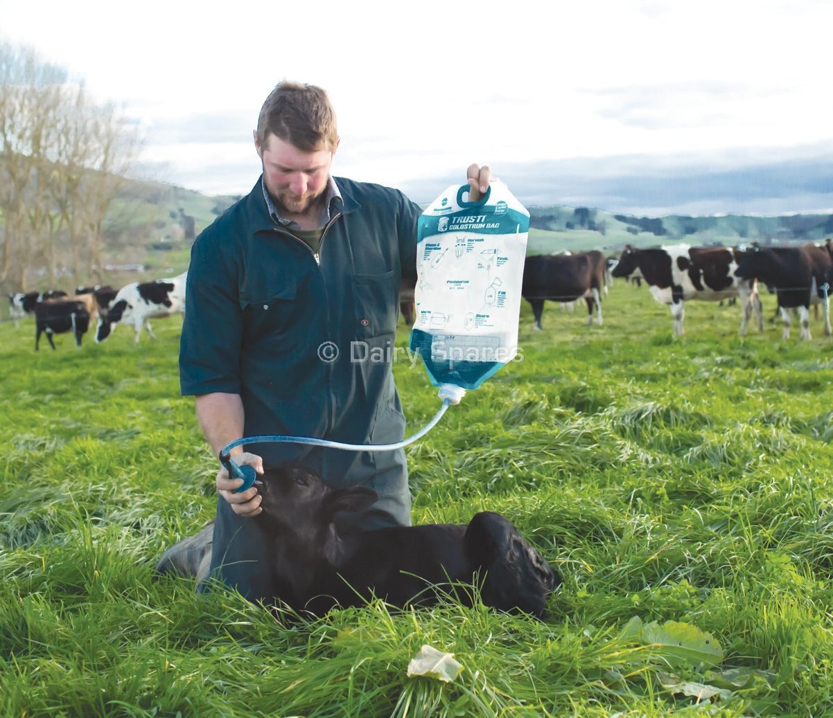 Trusti Colostrum Bag - Dairy Spares