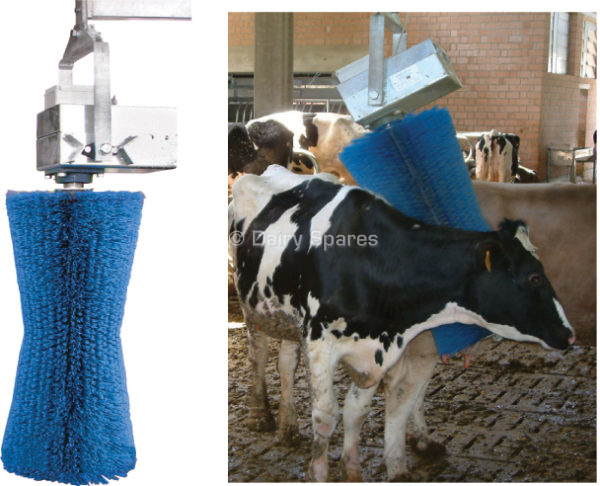 Cow Grooming with Cattle Brushes - Dairy Spares