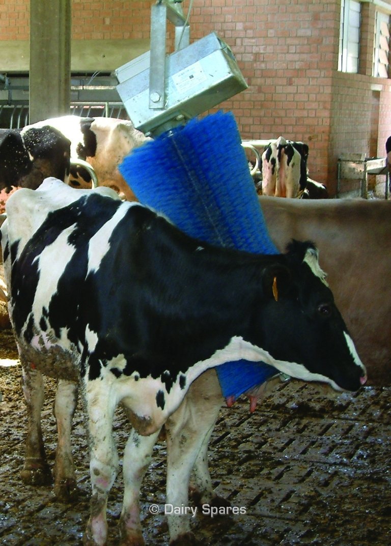 CowKing Swing Rotating Cattle Brush, Pendulum Mounted (Max 60 Cows ...