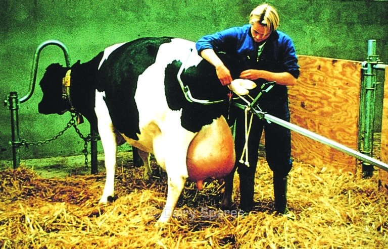 Vink Original Calving Jack Complete 180cm - CJ03 - Dairy Spares
