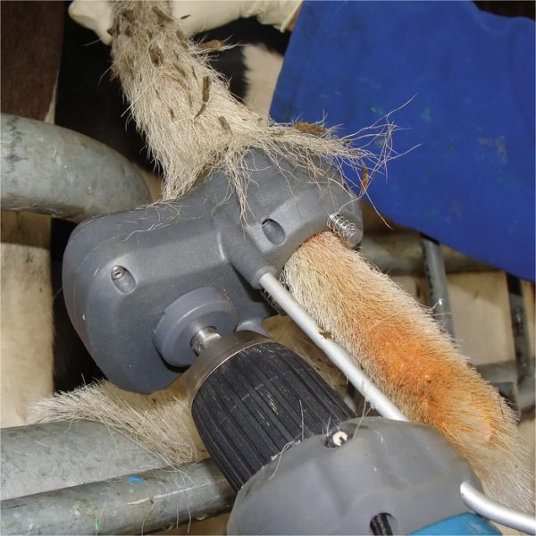 Tailwell Tail Trimmer Titanium Head - TTT01T - Dairy Spares