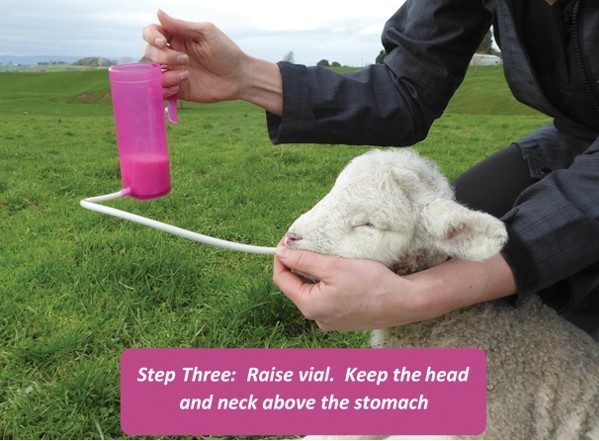 Trusti Tuber Lamb and Kid Goat Feeder - ANT30A - Dairy Spares