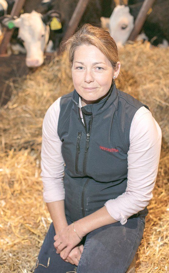Set Up To Rear Young Calves With Milk Bar - Dairy Spares