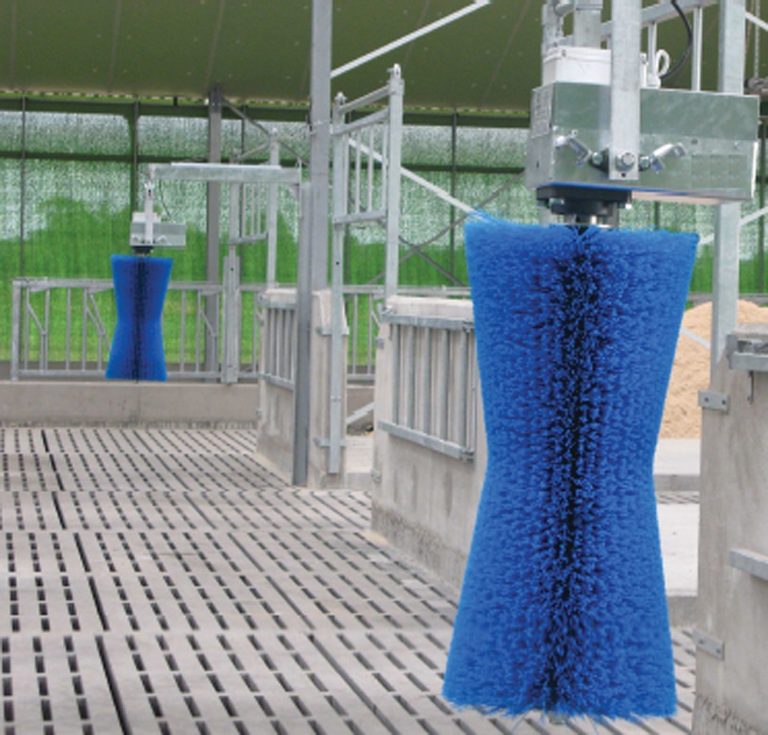 Cow Grooming with Cattle Brushes - Dairy Spares