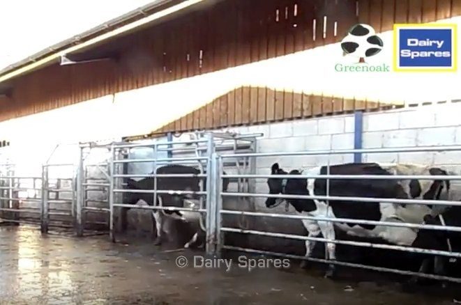 Greenoak Separation Gate - Dairy Spares