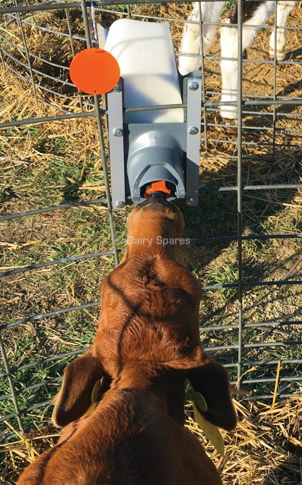 MILK BAR™ CALF FEEDING - Dairy Spares